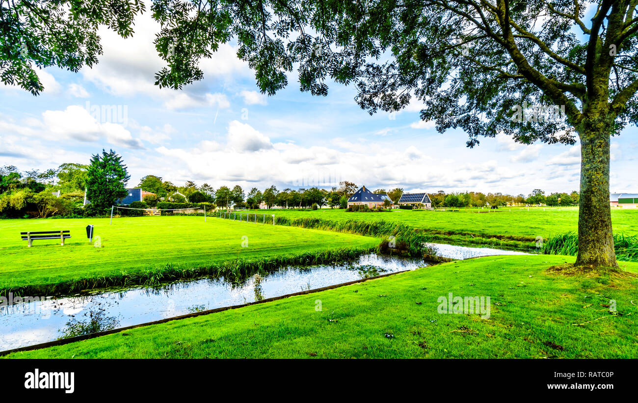 Typical Dutch Polder Landscape in the Beemster Polder in the western ...