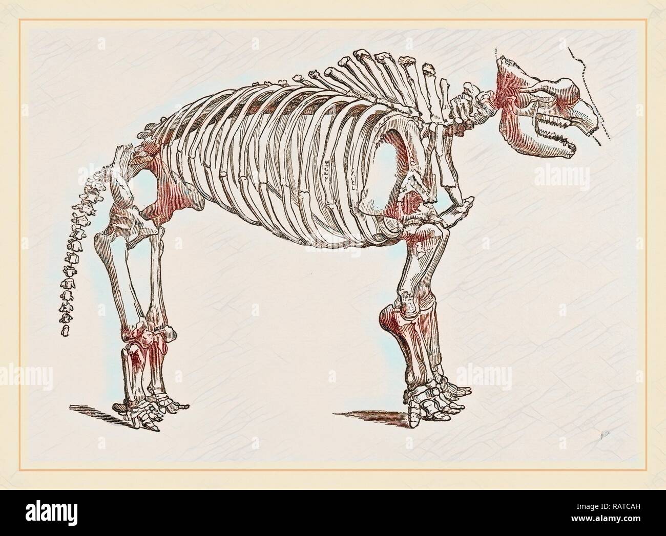 Skeleton of Mastodon. Reimagined by Gibon. Classic art with a modern ...