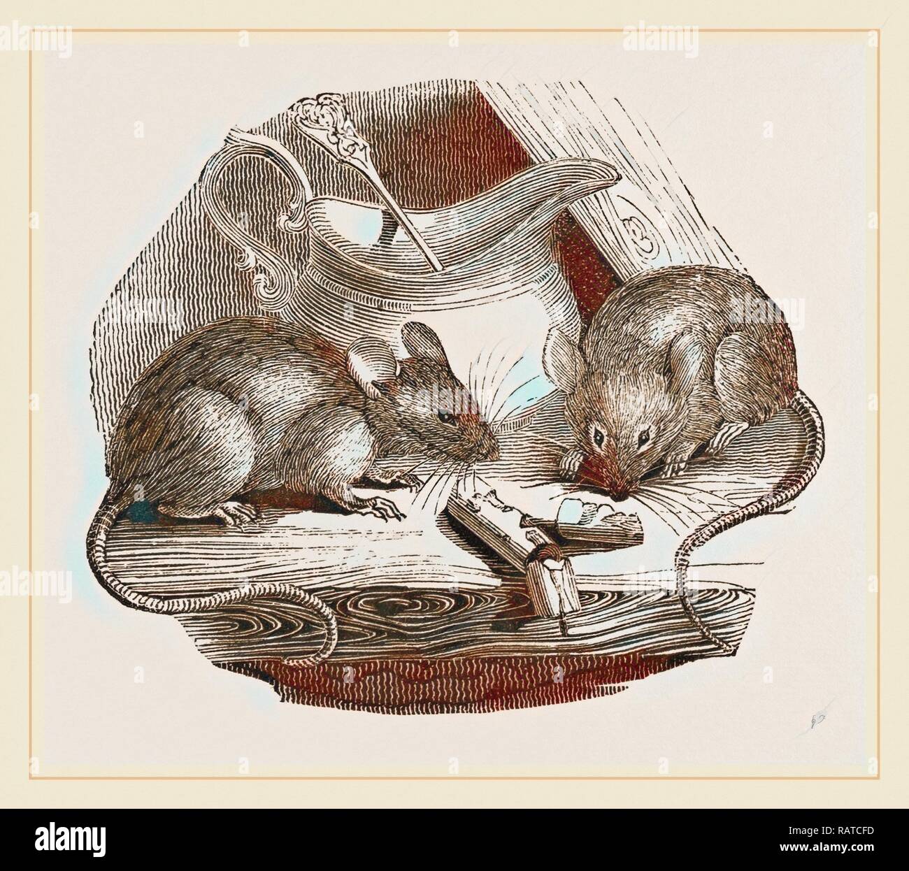 Common Mouse. Reimagined by Gibon. Classic art with a modern twist ...