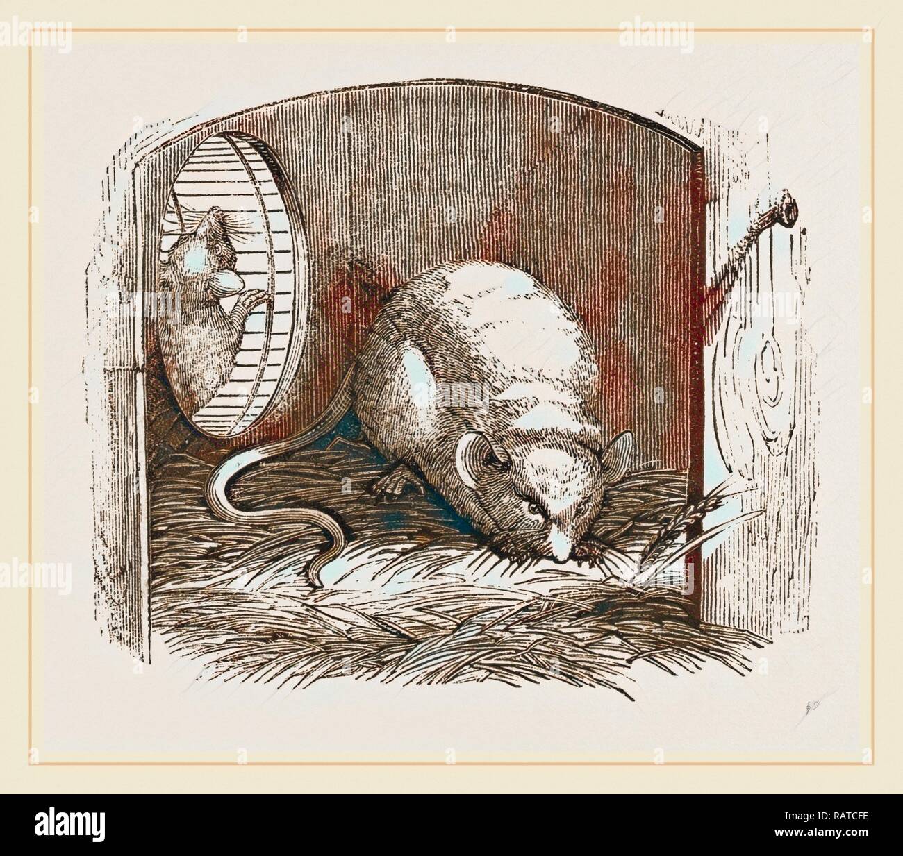 Common Mouse. Reimagined by Gibon. Classic art with a modern twist ...