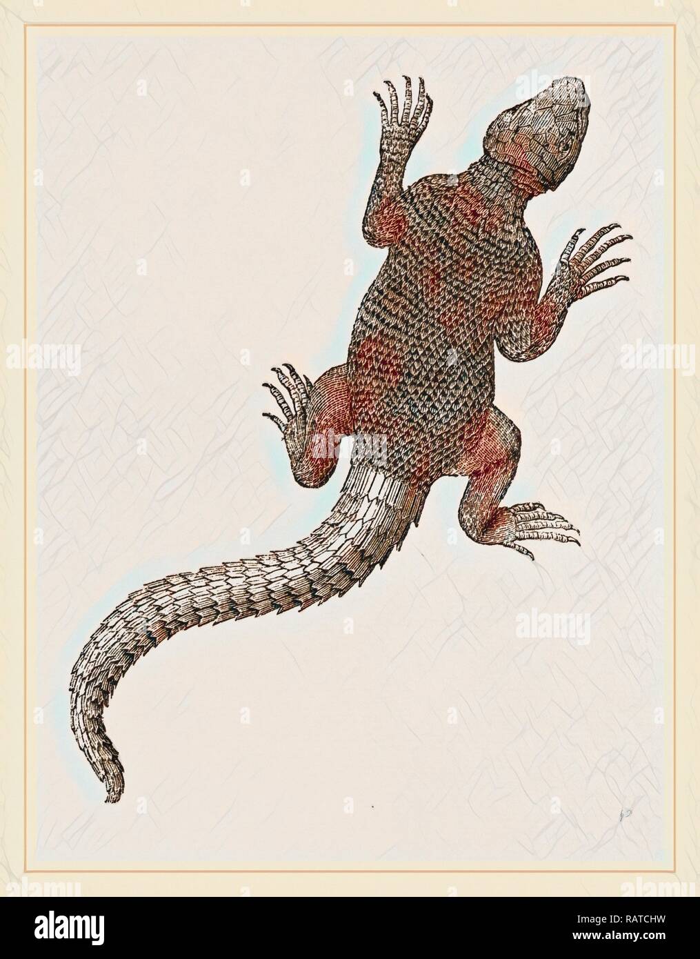 Spiny Agama. Reimagined by Gibon. Classic art with a modern twist ...