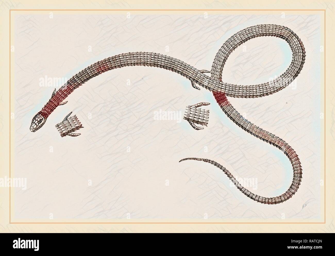 Anguine Lizard. Reimagined by Gibon. Classic art with a modern twist ...