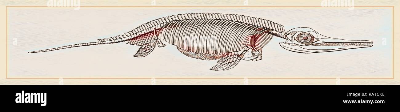 Ichthyosaurus. Reimagined by Gibon. Classic art with a modern twist ...