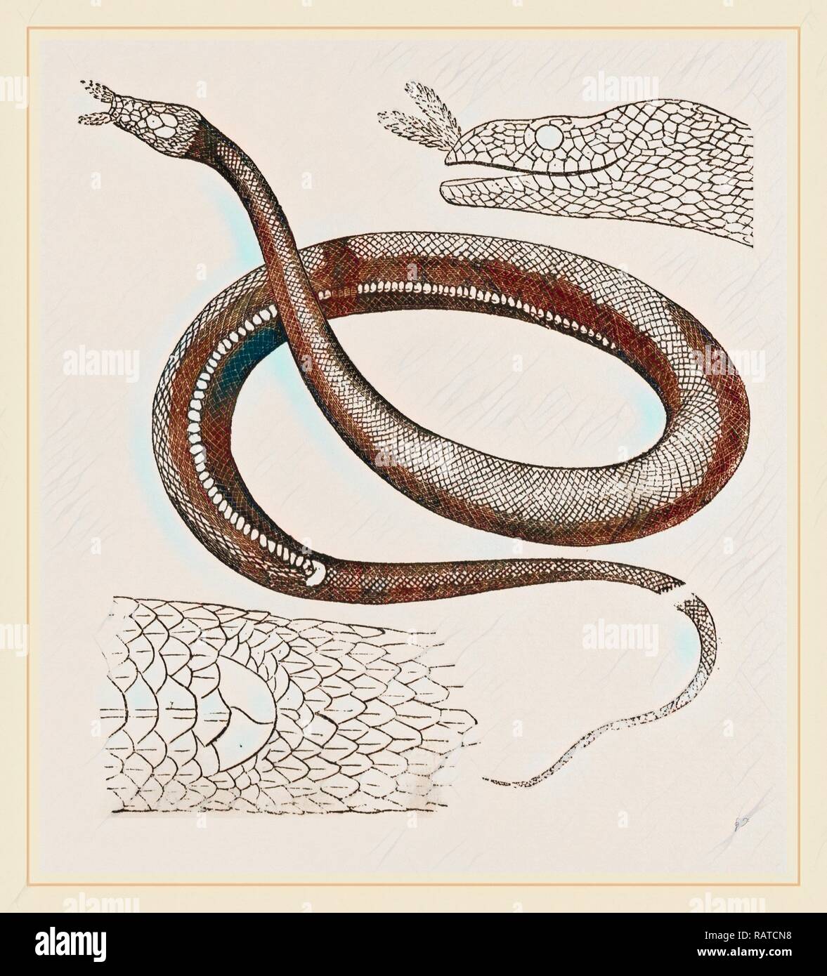 Tentacled Herpeton. Reimagined by Gibon. Classic art with a modern ...
