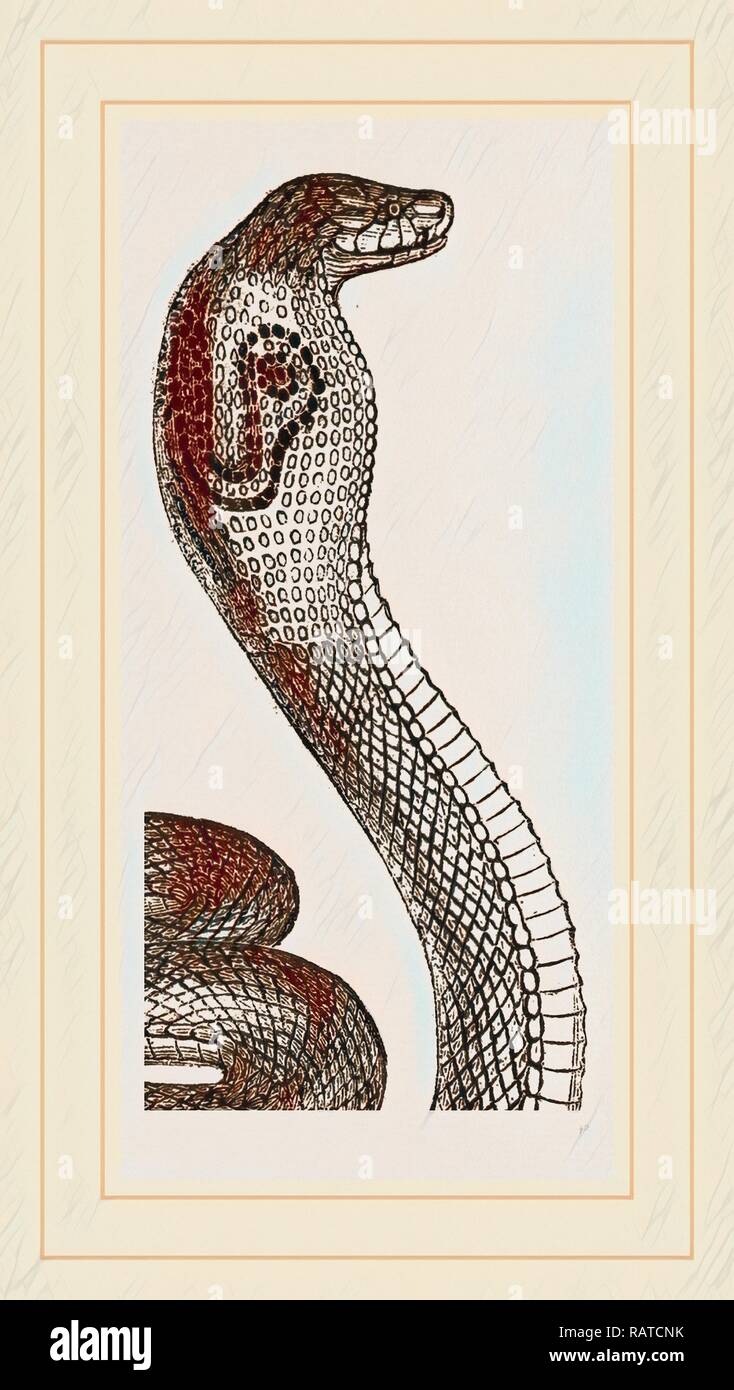 Indian Naja. Reimagined by Gibon. Classic art with a modern twist ...