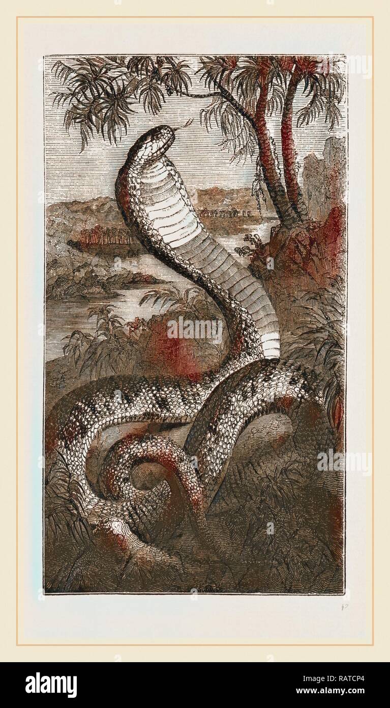 Egyptian Cobra Art