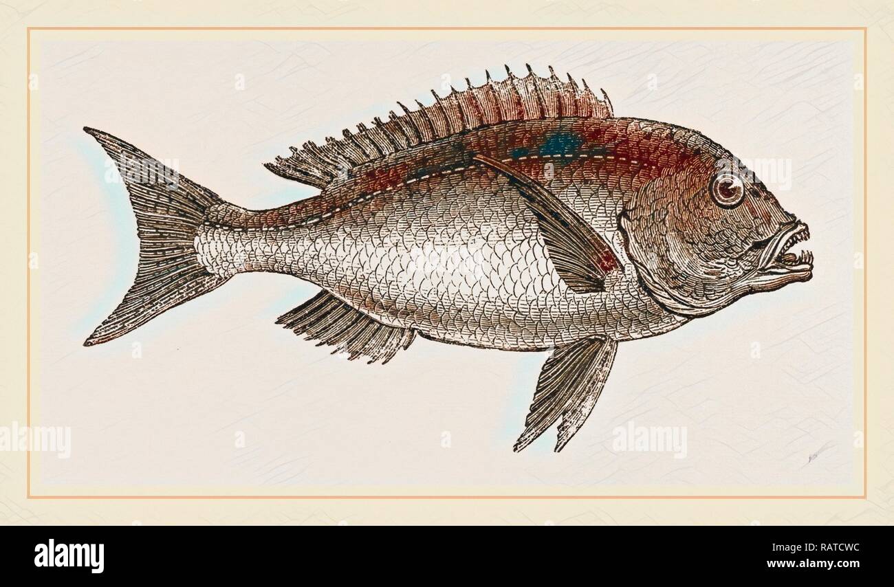 Braize. Reimagined by Gibon. Classic art with a modern twist reimagined ...