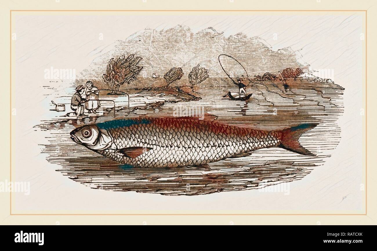 Dace. Reimagined by Gibon. Classic art with a modern twist reimagined ...