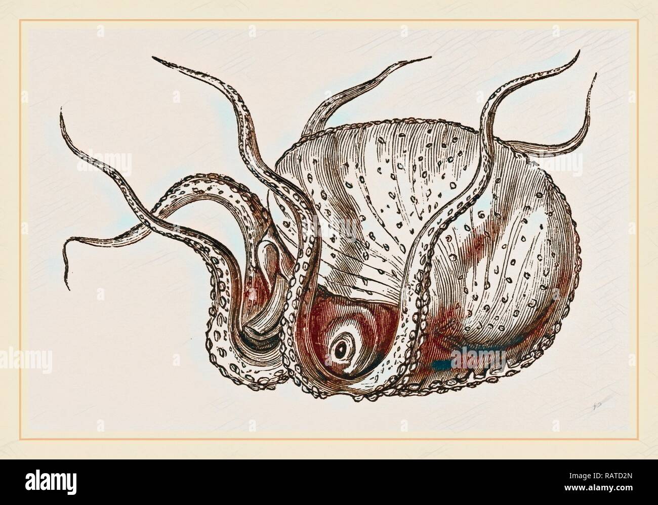 Argonaut moving on its head. Reimagined by Gibon. Classic art with a ...