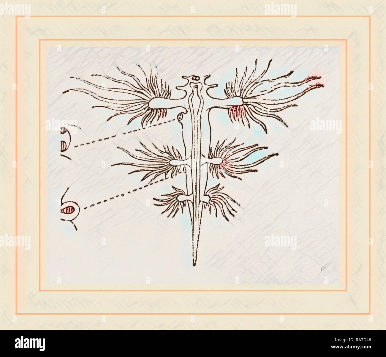 Glaucus. Reimagined by Gibon. Classic art with a modern twist ...