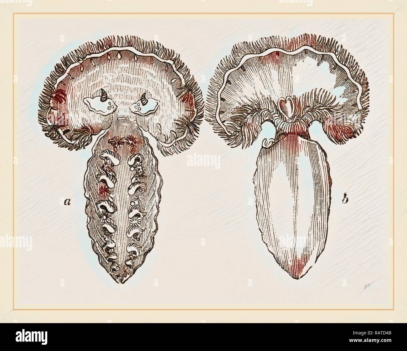Tethys. Reimagined by Gibon. Classic art with a modern twist reimagined ...