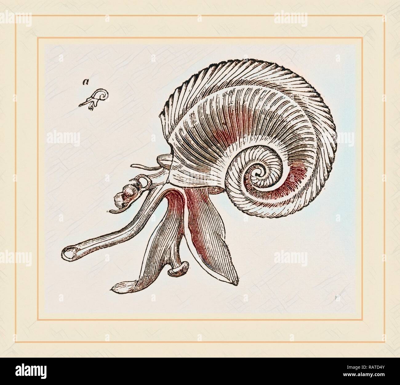 Peron's Atlanta. Reimagined by Gibon. Classic art with a modern twist ...