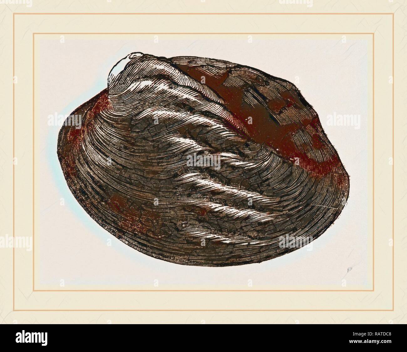 Plicate Unio. Reimagined by Gibon. Classic art with a modern twist ...