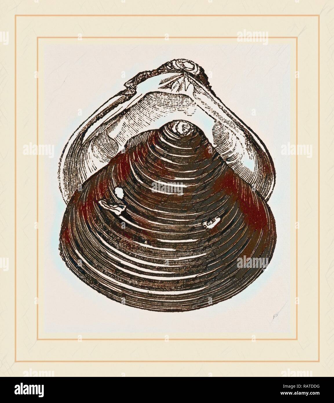 Dusky Cyrena. Reimagined by Gibon. Classic art with a modern twist ...