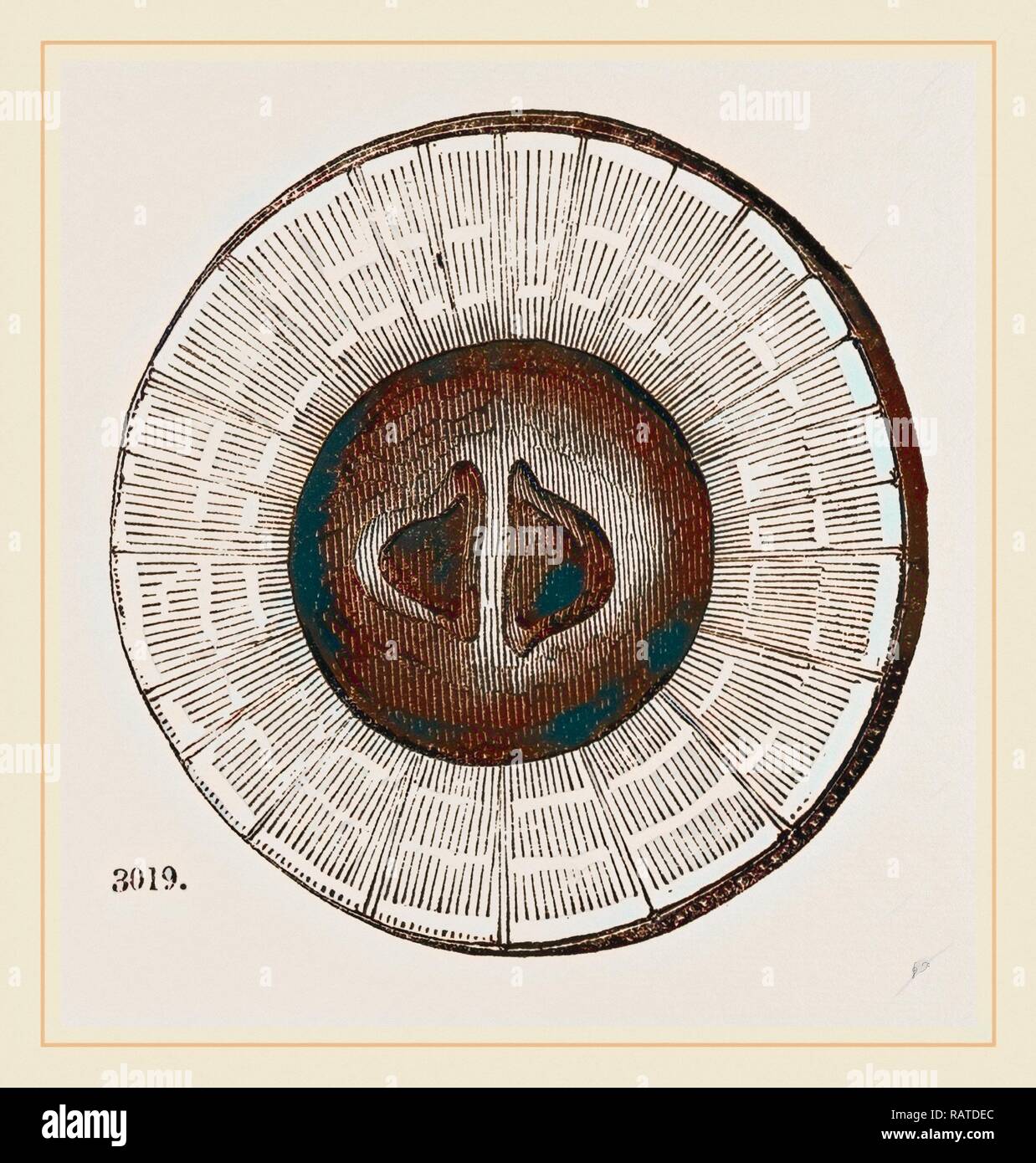 Transverse Sections of Shell Teredo gigantea. Reimagined by Gibon ...
