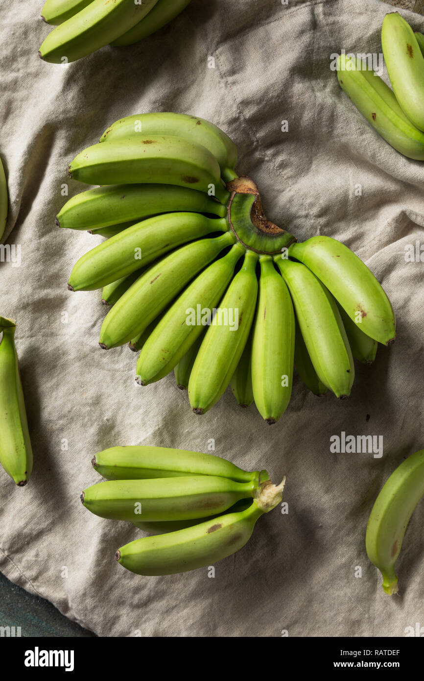 Raw Organic Unripe Green Baby Bananas in a Bunch Stock Photo - Alamy