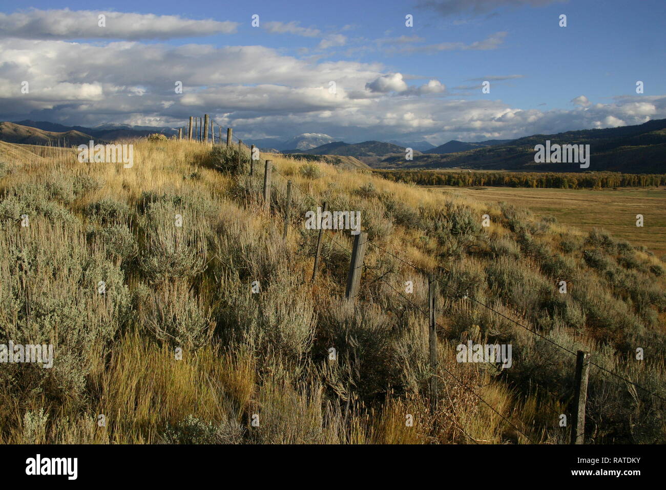 Rangeland hi-res stock photography and images - Alamy