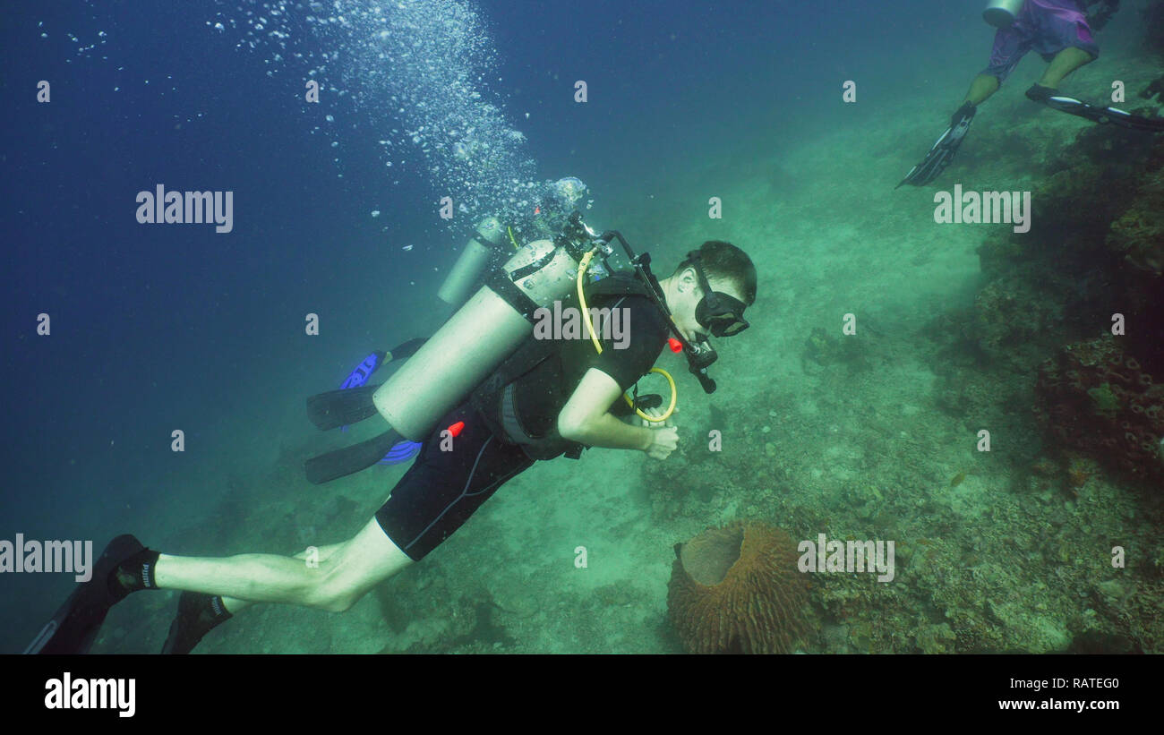 Scuba diver explores underwater coral reef and watching fish.Scuba ...