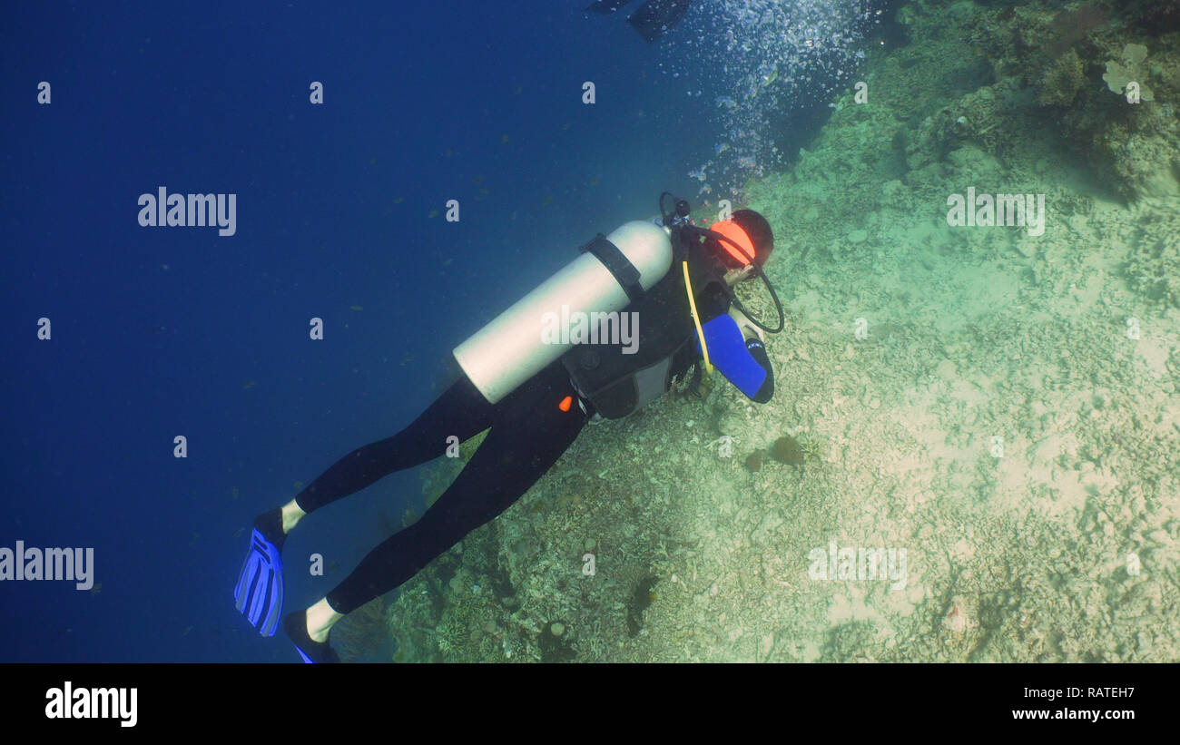 Scuba diver explores underwater coral reef and watching fish.Scuba ...