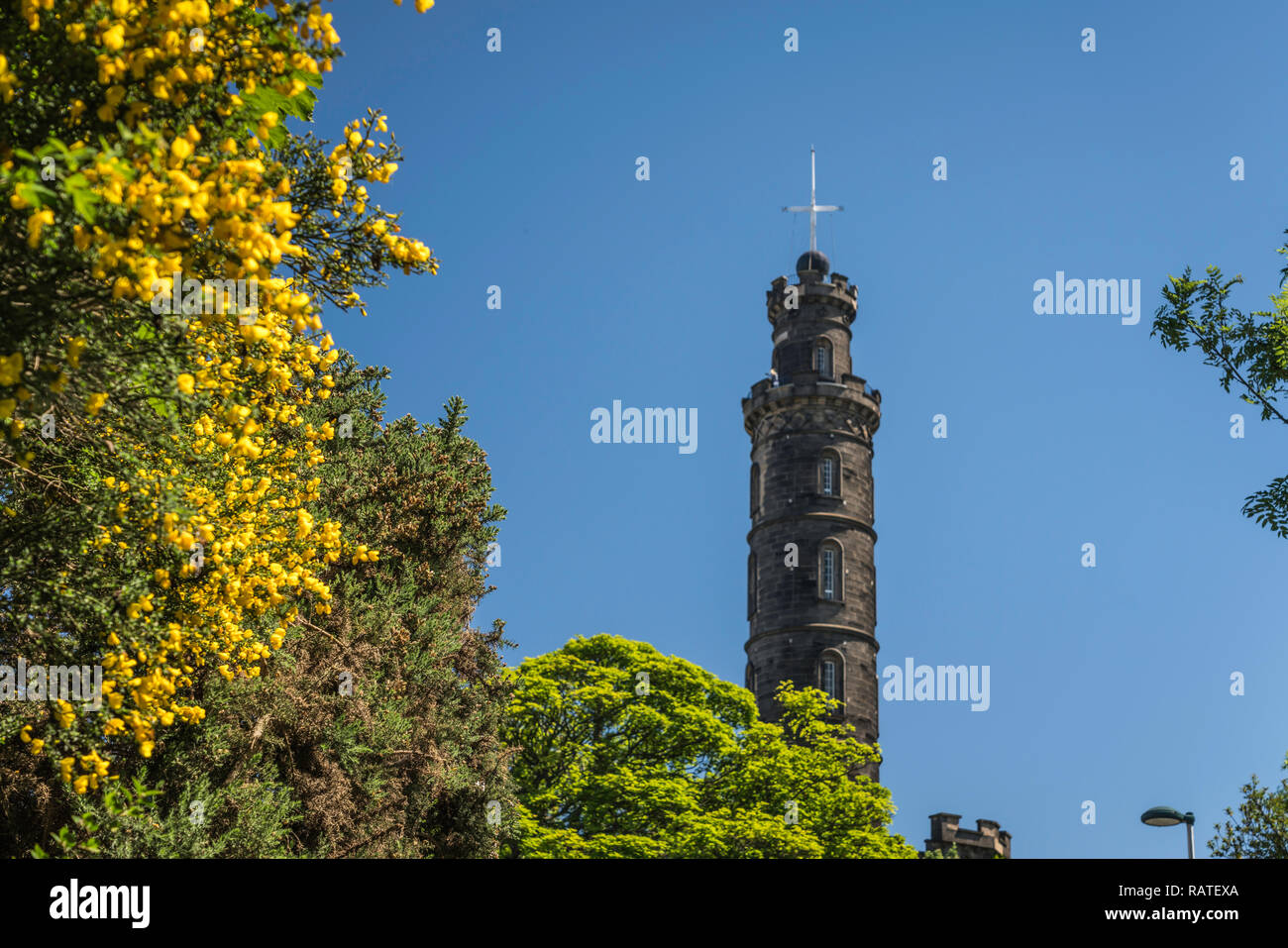 Nelson tower monument hi-res stock photography and images - Alamy
