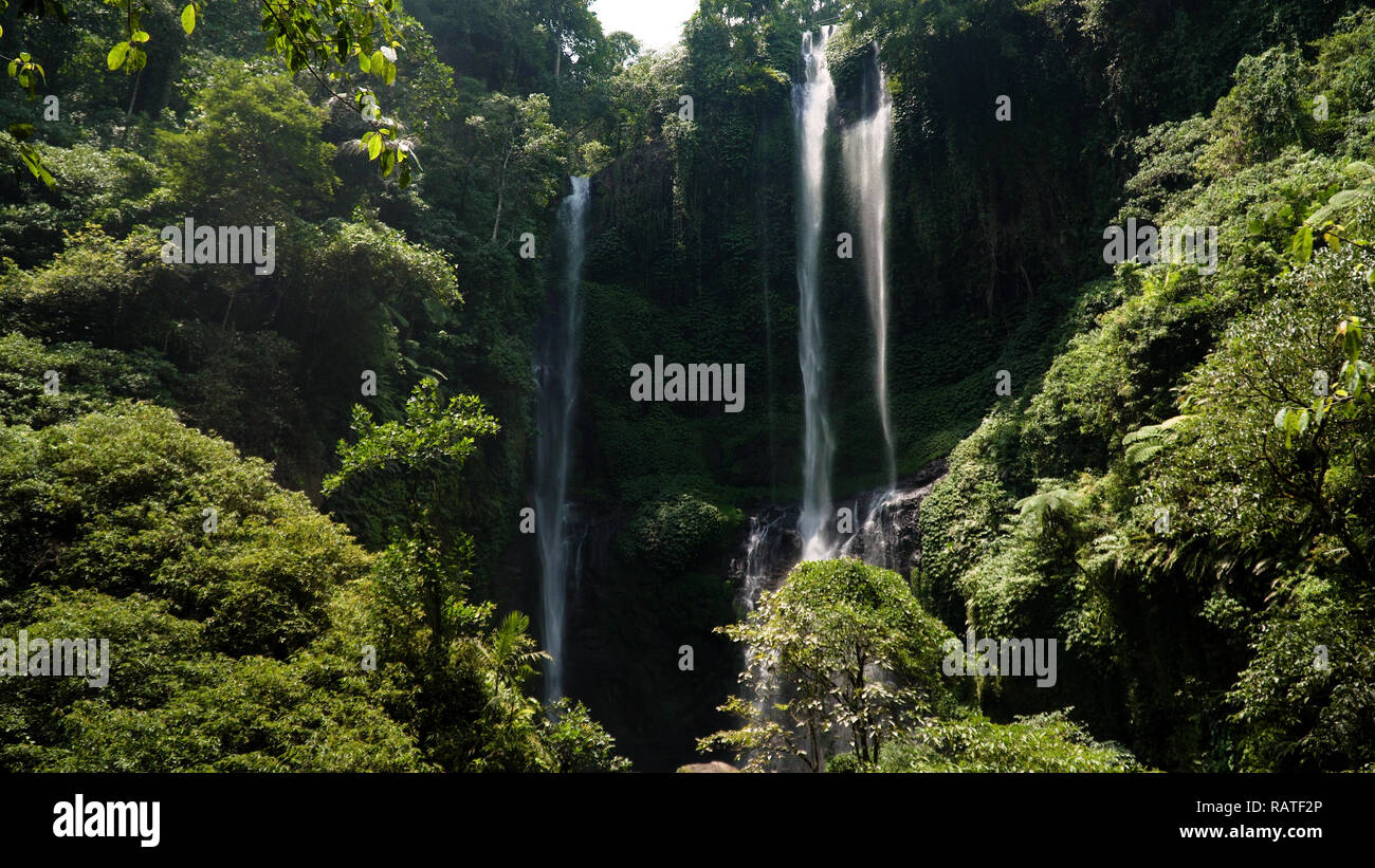 waterfall in green rainforest. triple tropical waterfall Sekumpul in ...