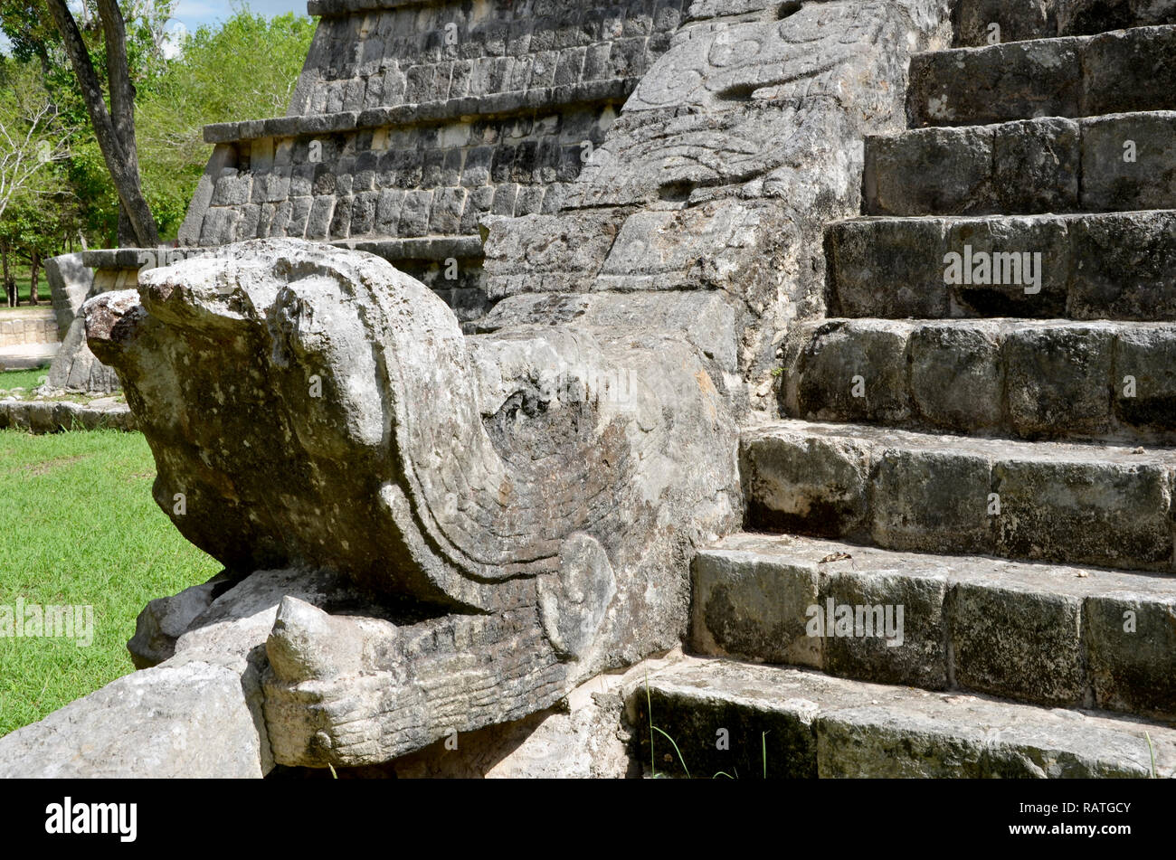The Mayan Pyramid Snake