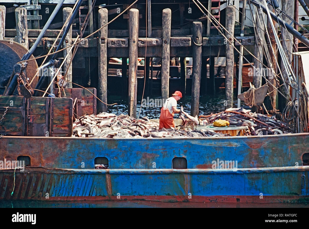Trawler pier fishermen poles hi-res stock photography and images - Alamy
