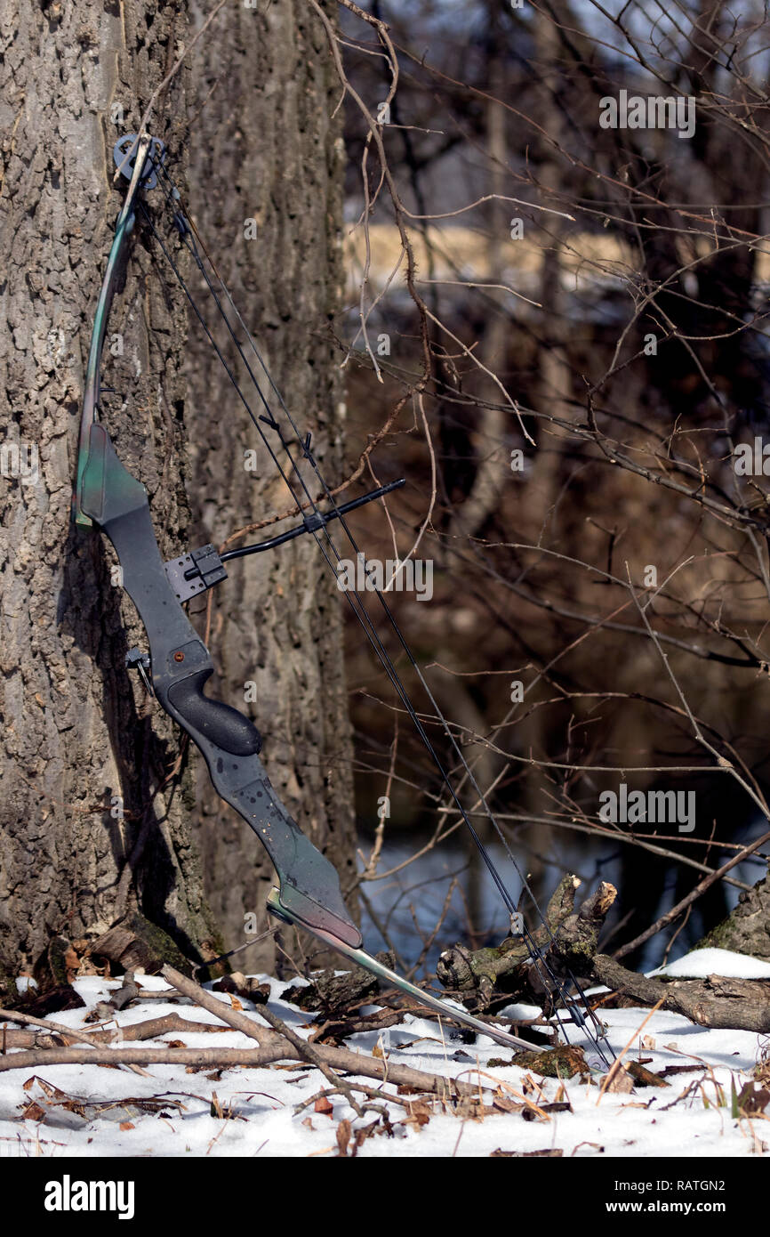Bow hunting deer hi-res stock photography and images - Alamy