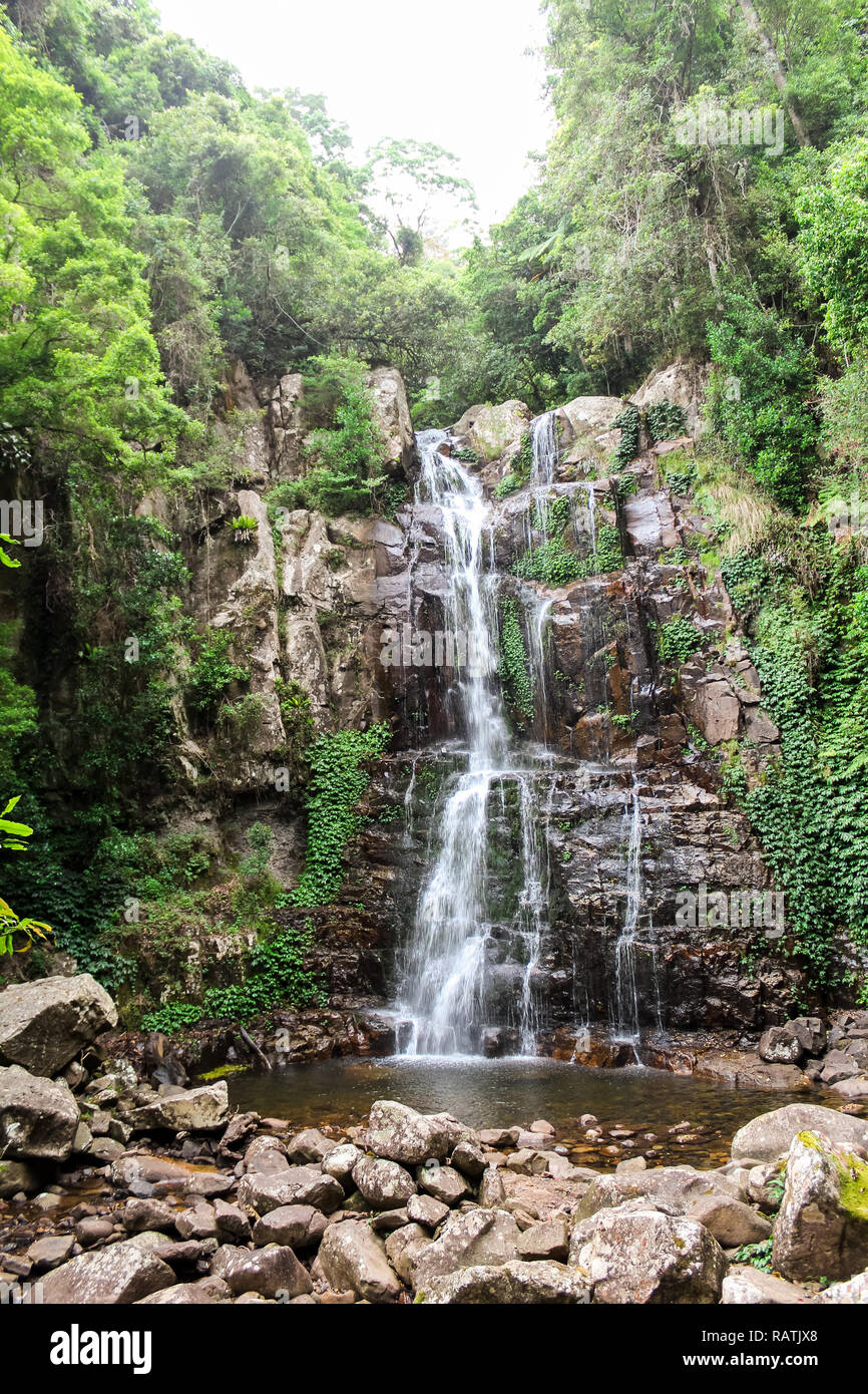 Australia Rainforest Waterfall Waterfall In The Subtropical