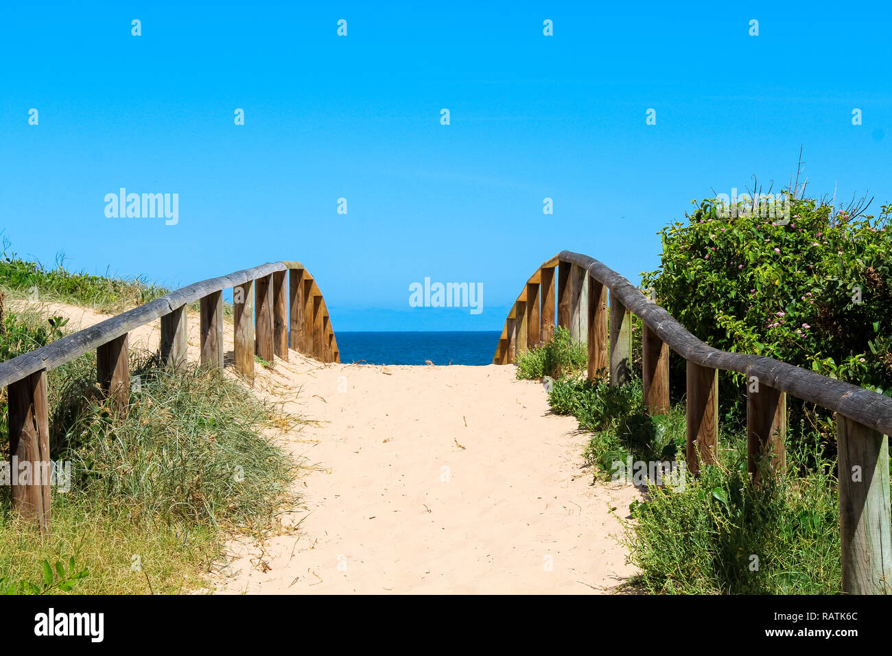 Wooden walk / path towards an Australian beach near Sydney on a perfect ...