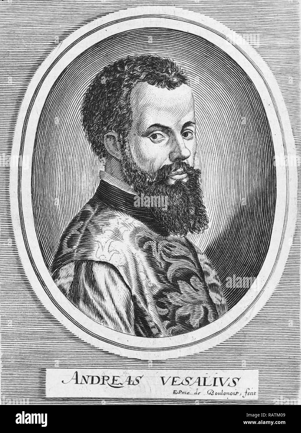Andreas vesalius hi-res stock photography and images - Alamy