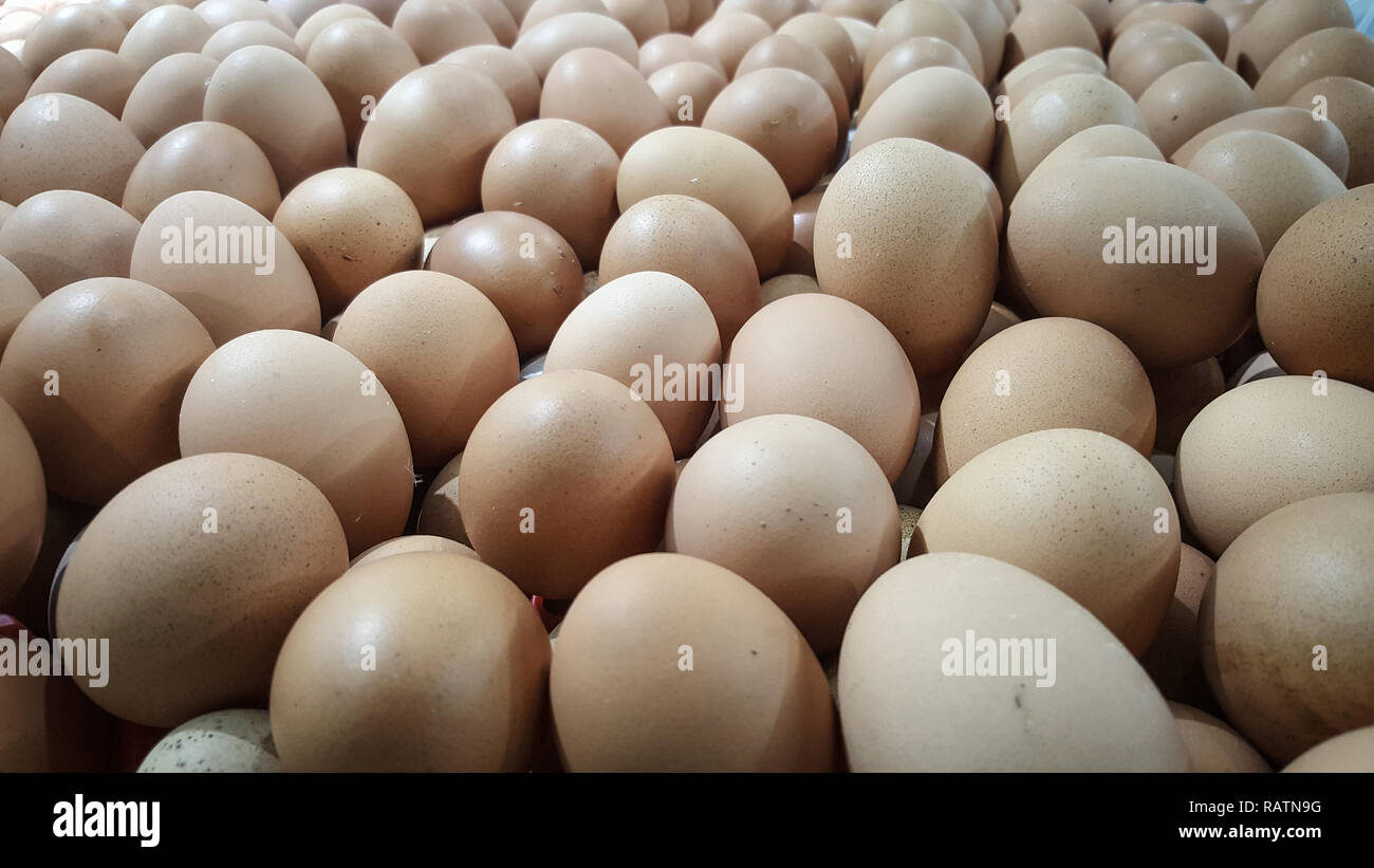 Chicken eggs are very much photographed from near fresh ready to sell ...