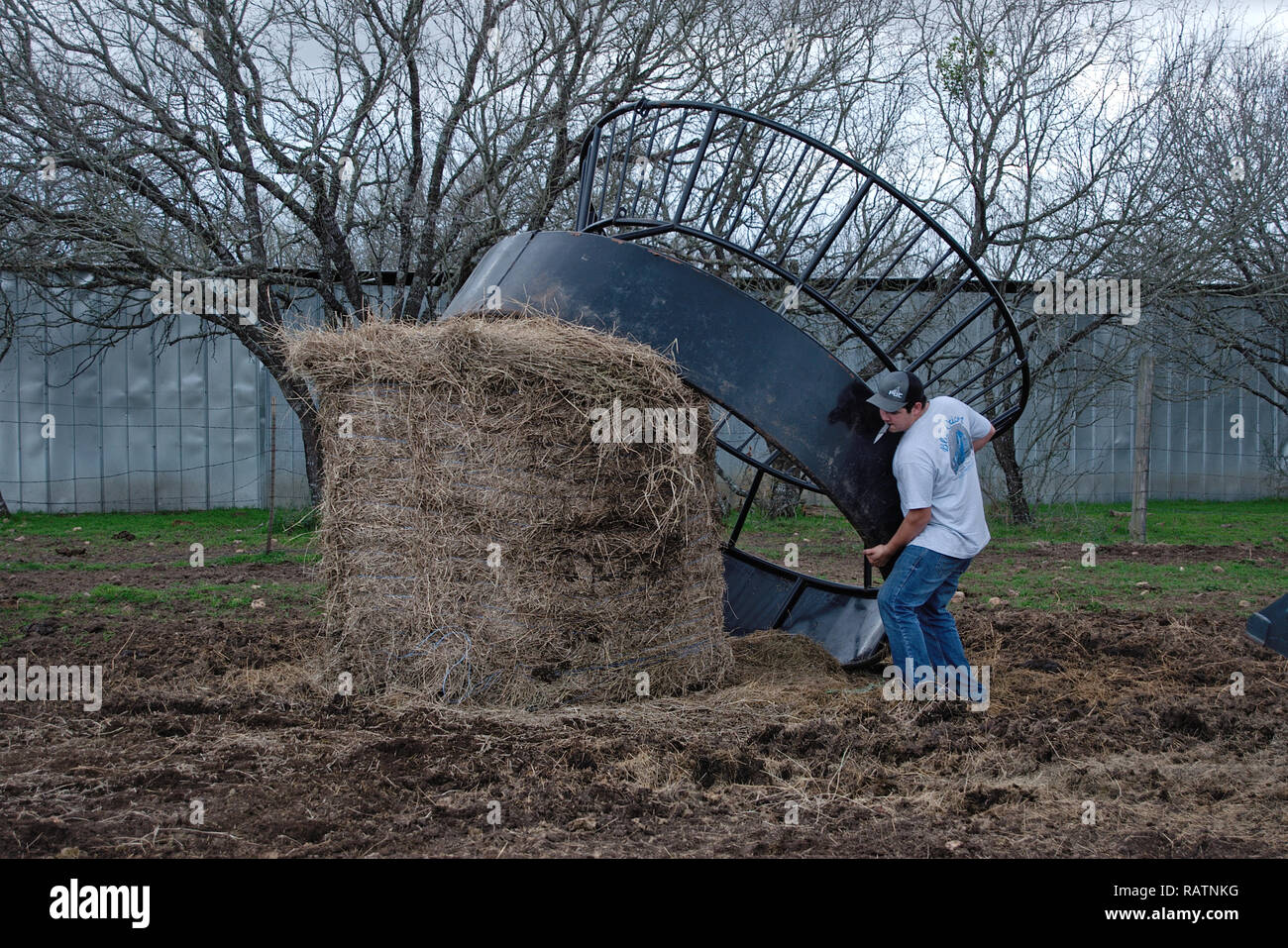 Round hay bail hi-res stock photography and images - Alamy