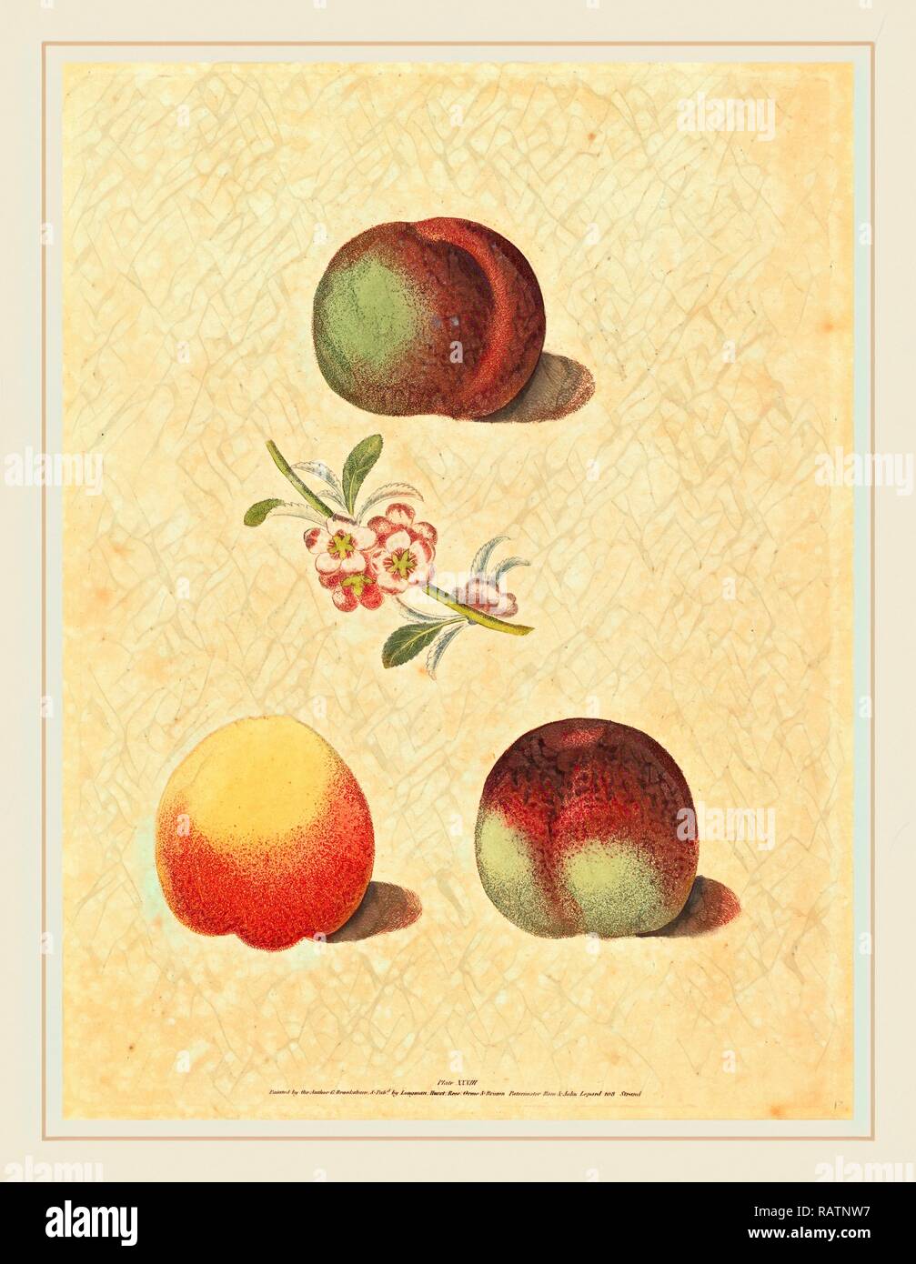 George brookshaw art hi-res stock photography and images - Alamy