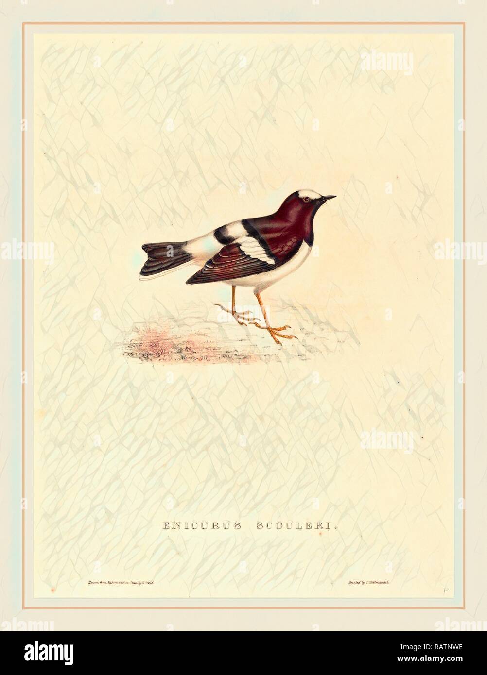 Elizabeth gould hi-res stock photography and images - Alamy