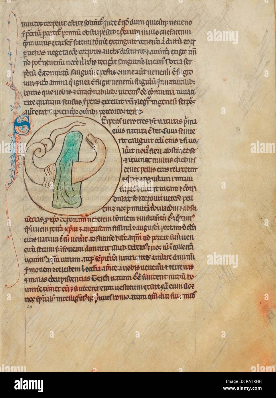 A Snake, Unknown, England, Europe, about 1250 - 1260, Pen-and-ink ...