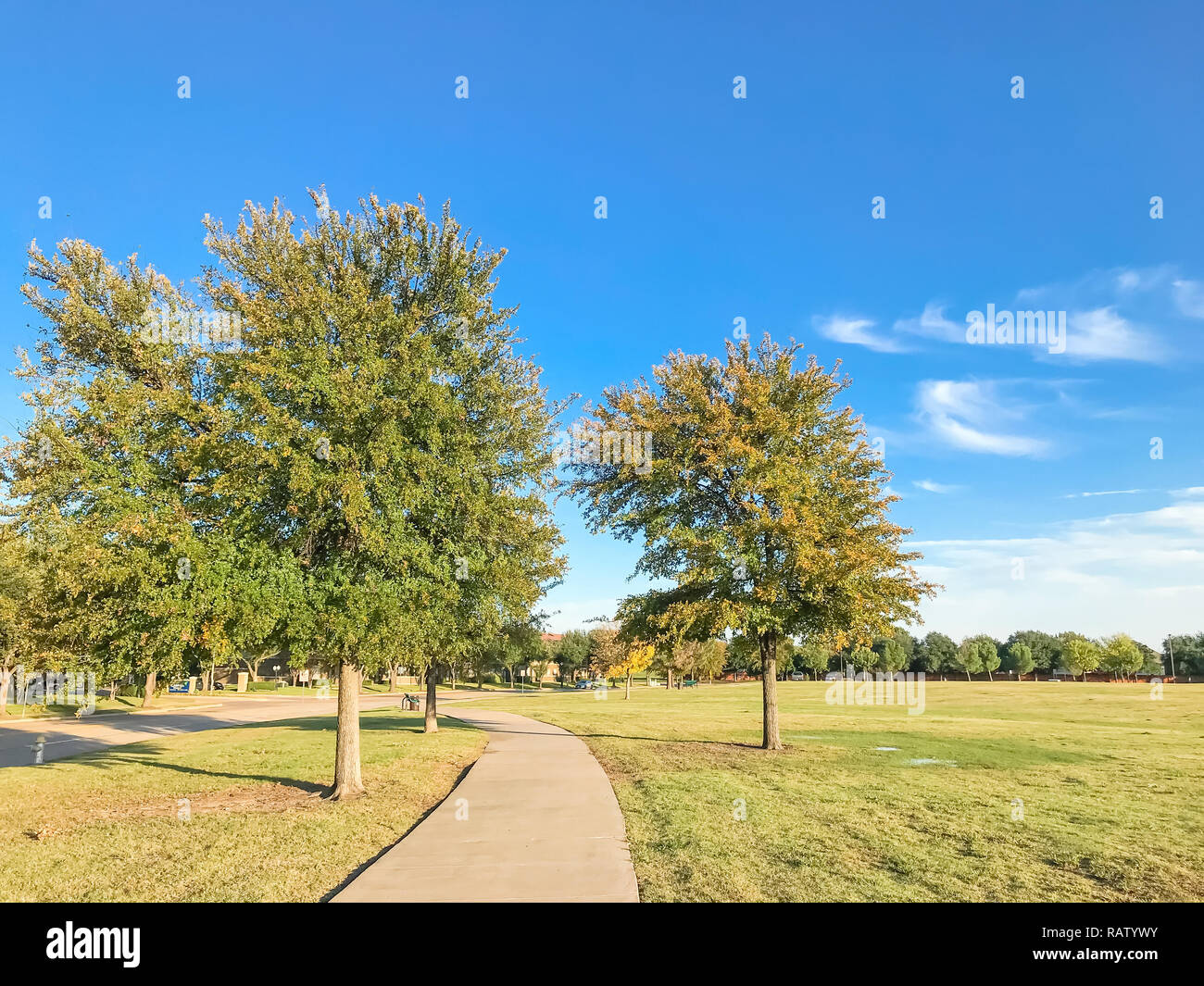 Urban park with concrete trail and green grass lawn at sunset Stock ...
