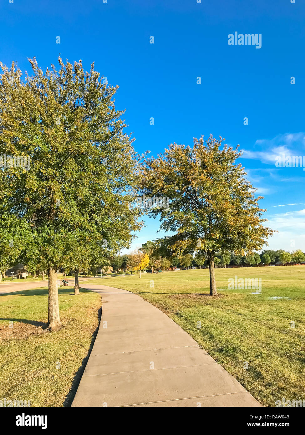 Urban park with concrete trail and green grass lawn at sunset Stock ...