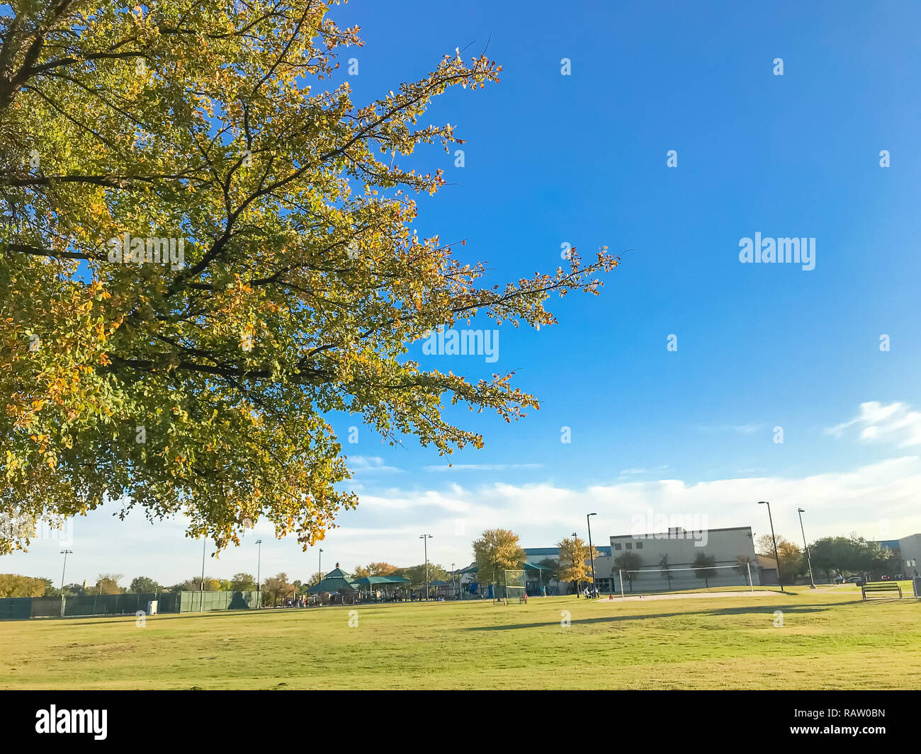 Urban park with concrete trail and green grass lawn at sunset Stock ...