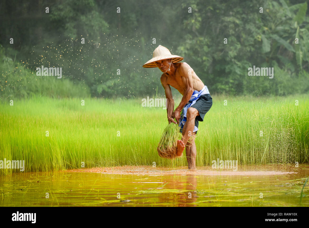 Peasant Farming High Resolution Stock Photography and Images - Alamy
