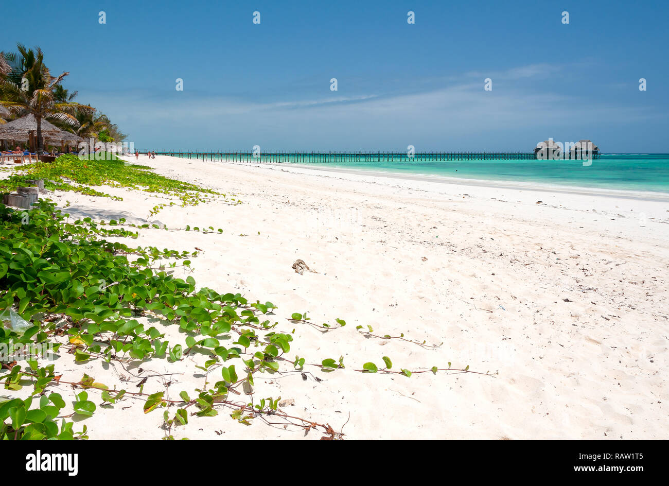 View of Zanzibar tropical beach and sea - Dongwe - Indian ocean ...