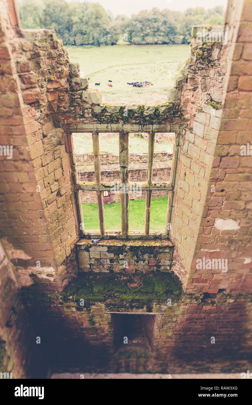 Cows graze in the countryside seen through ancient medieval walled ...