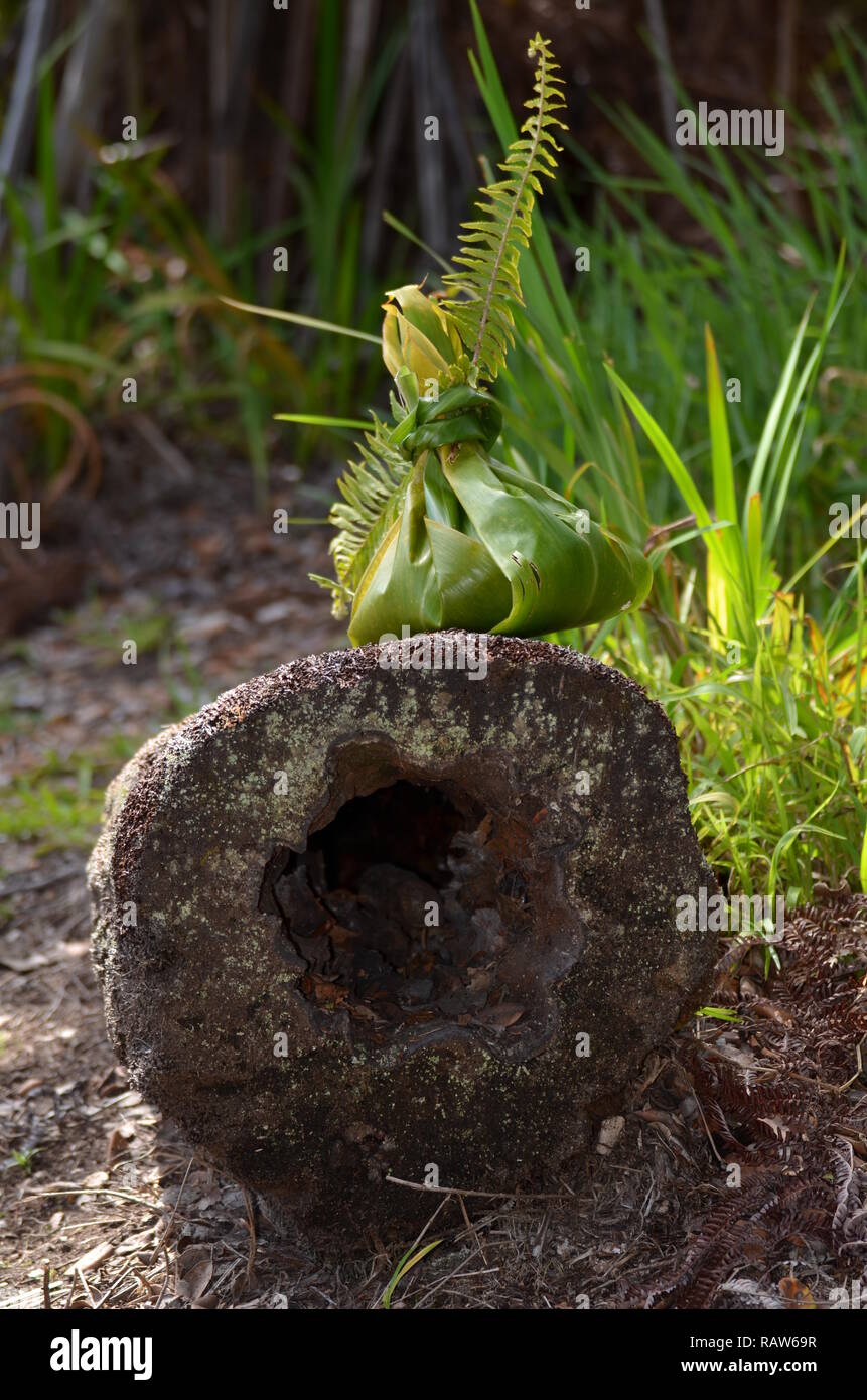 Art work in the forest @ Big Island, HI Stock Photo - Alamy