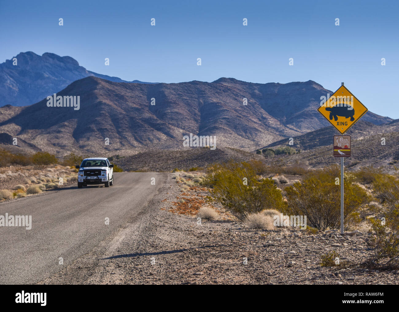 Gold Butte National Monument, Tortoise Crossing Sign Stock Photo - Alamy