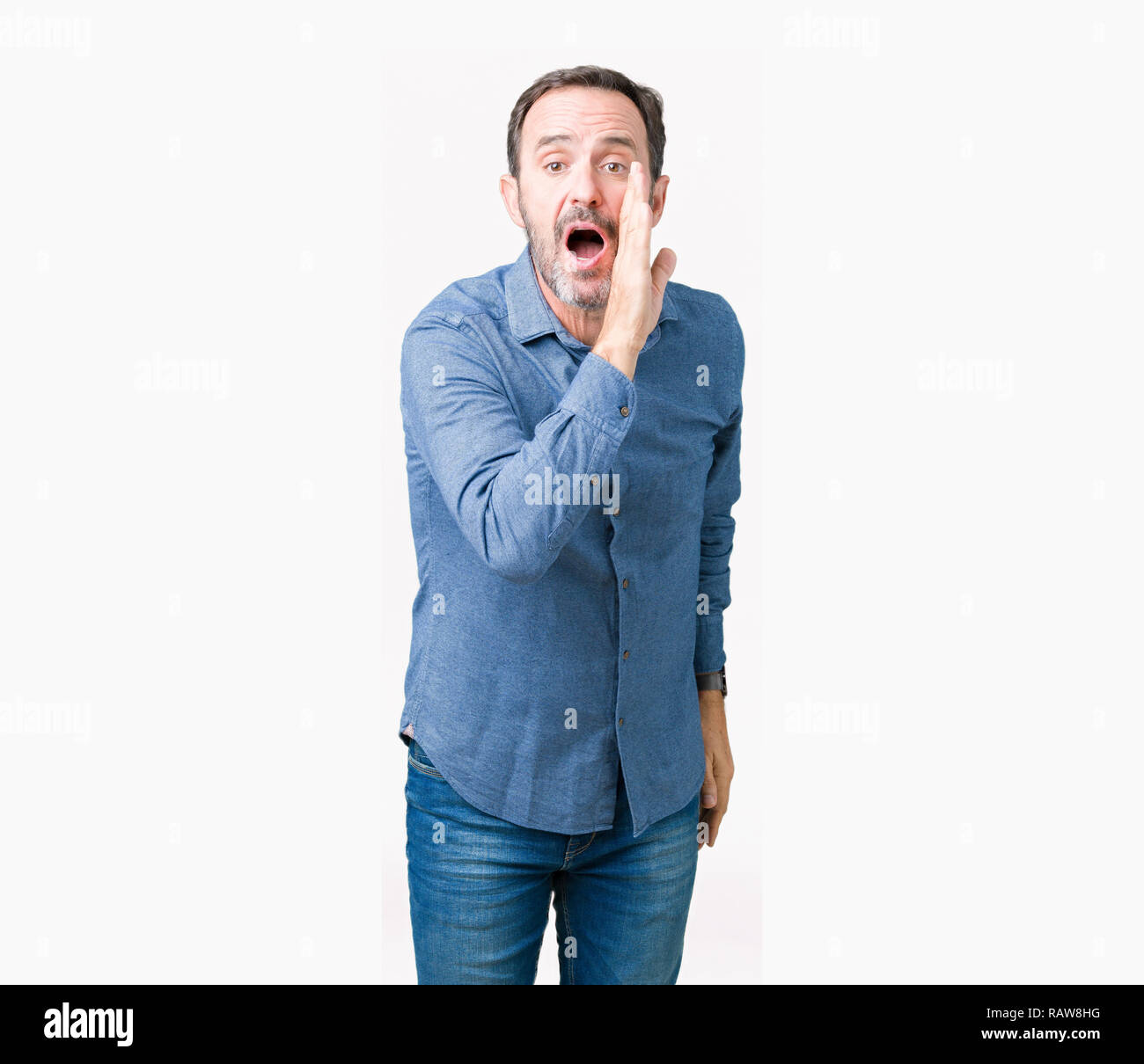 Handsome middle age elegant senior man over isolated background hand on ...