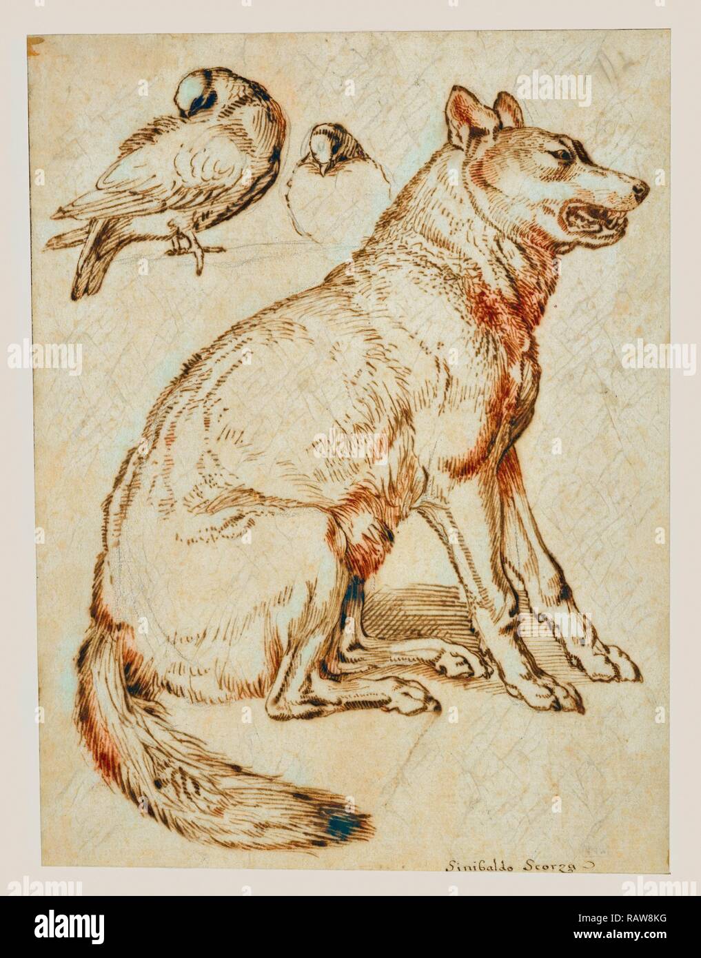 A Wolf and Two Doves, Sinibaldo Scorza, Italian, 1589 - 1631, Italy ...
