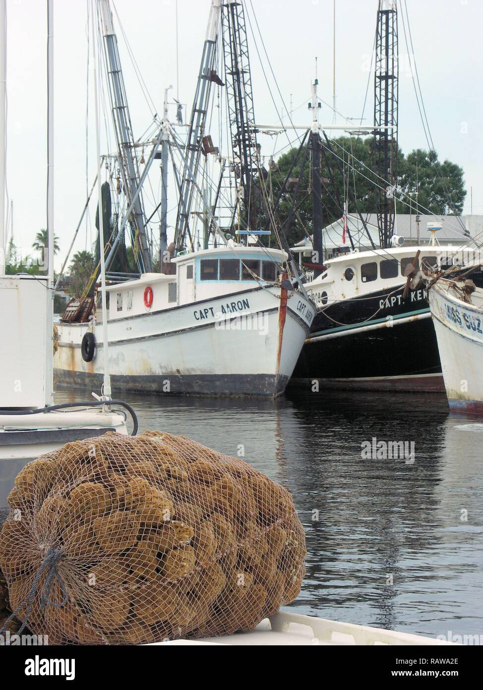 Sponge Fleet High Resolution Stock Photography and Images - Alamy