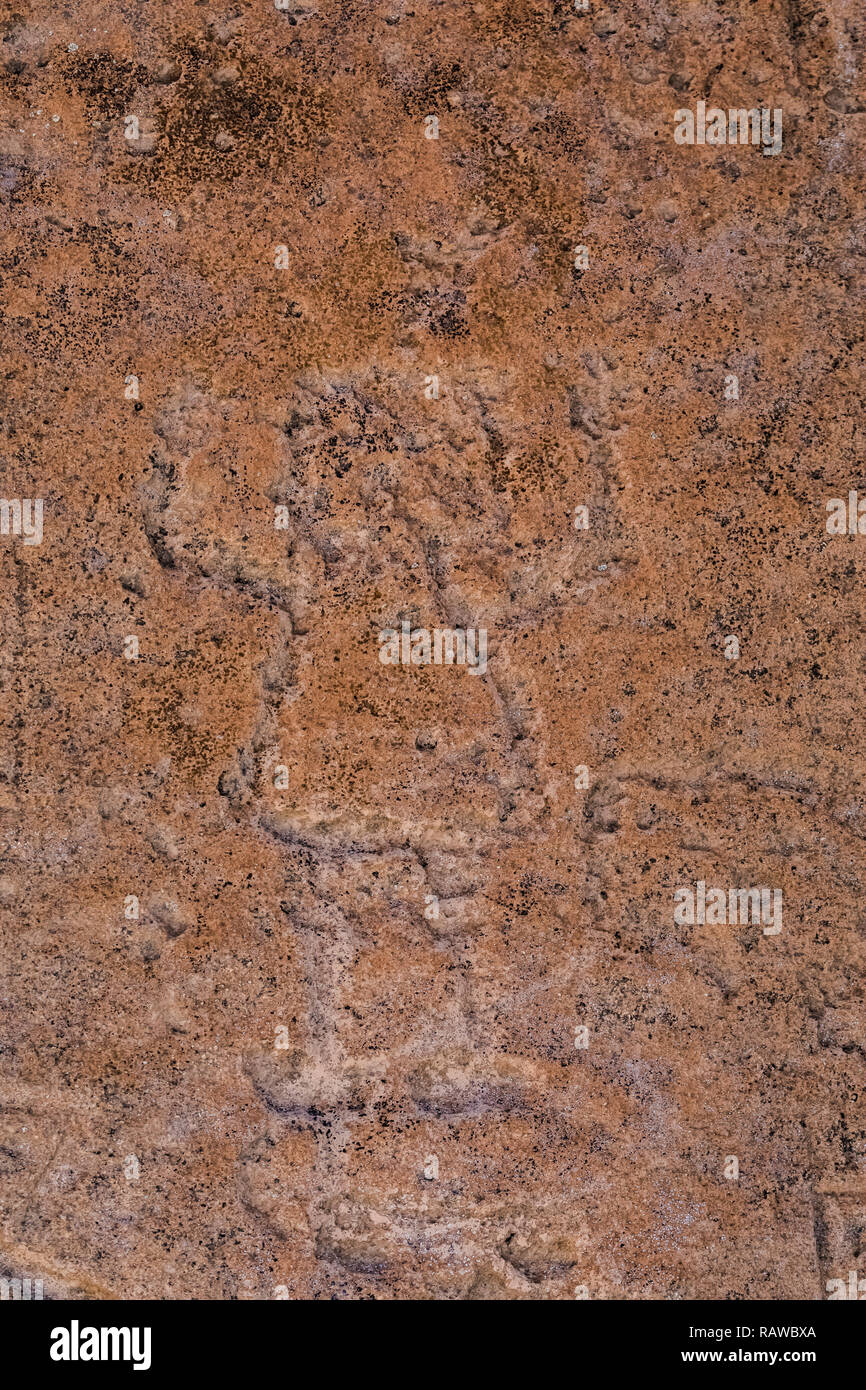 Petroglyph of human figure carved into sandstone by Ancestral Puebloan ...