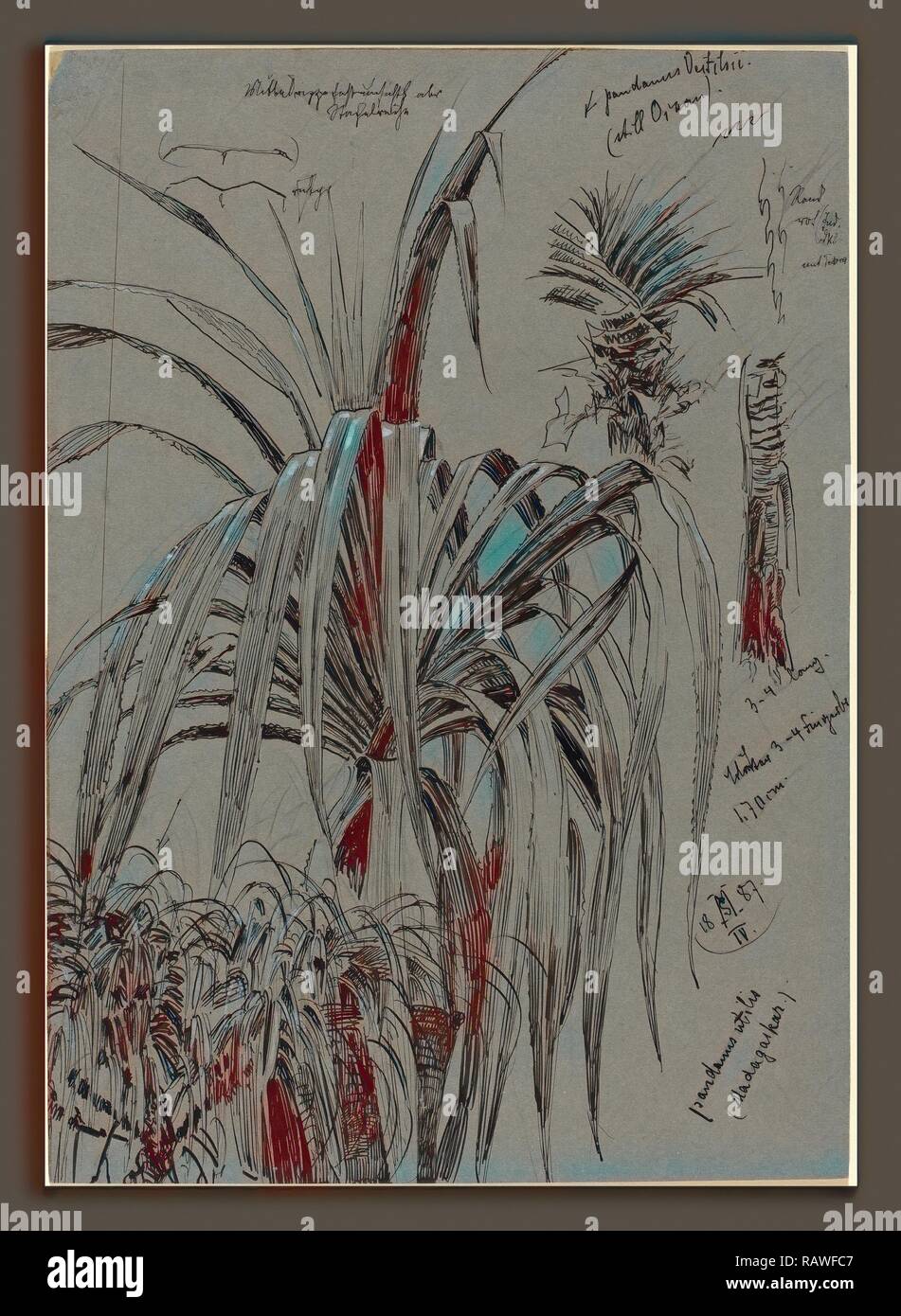 Max Seliger (German, 1865 - 1920), Studies of Screwpines from ...