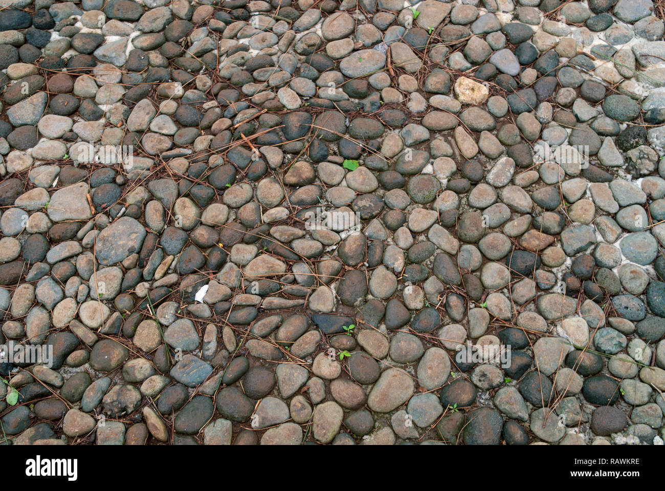 Pebble stone path walkway hi-res stock photography and images - Alamy